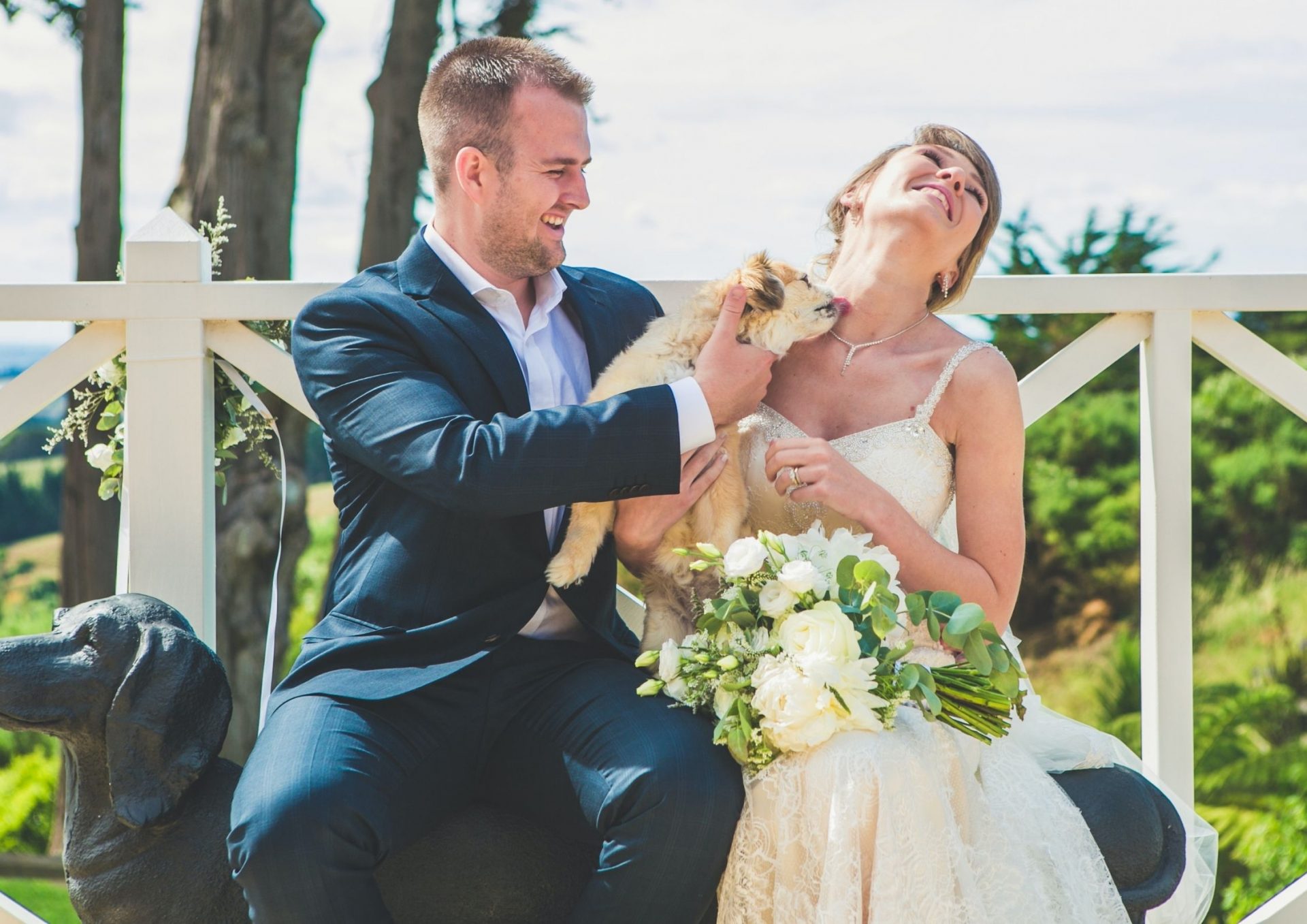 20 Quirky Ways To Include Your Pets on Your Wedding Day